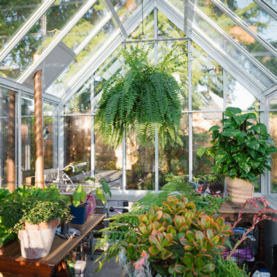 Wisconsin Greenhouse Company | Backyard Luxury & Commercial‎